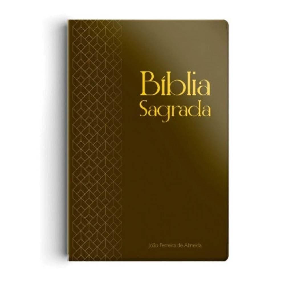 Biblia sagrada gigante marrom | Pontofrio