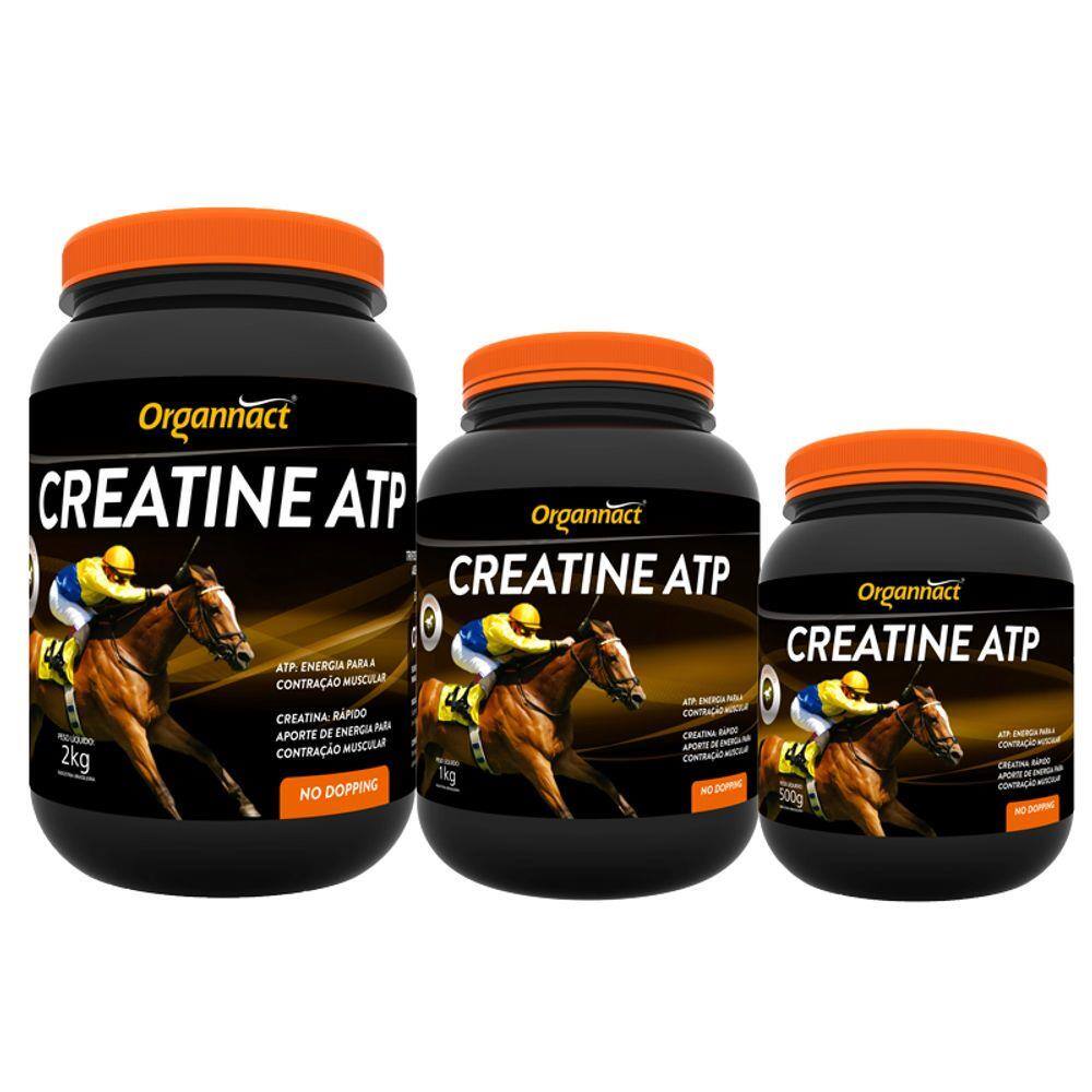 Creatina atp force | Ponto