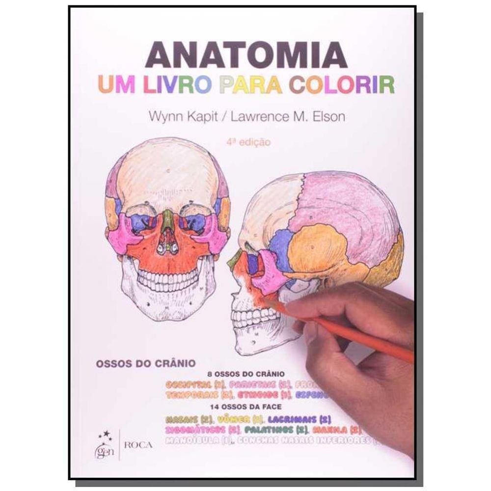 Anatomia Musculo Colorir Pontofrio