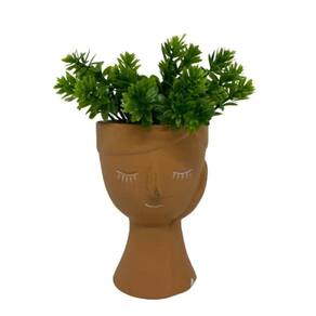 Vaso plantas rosto | Pontofrio Vaso plantas rosto | Pontofrio