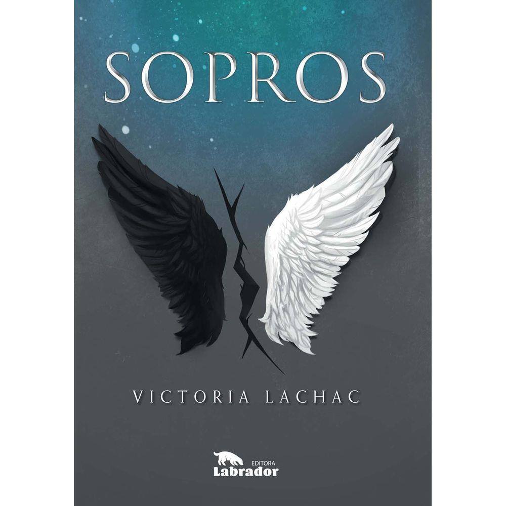 Secador sopro eletrico | Pontofrio