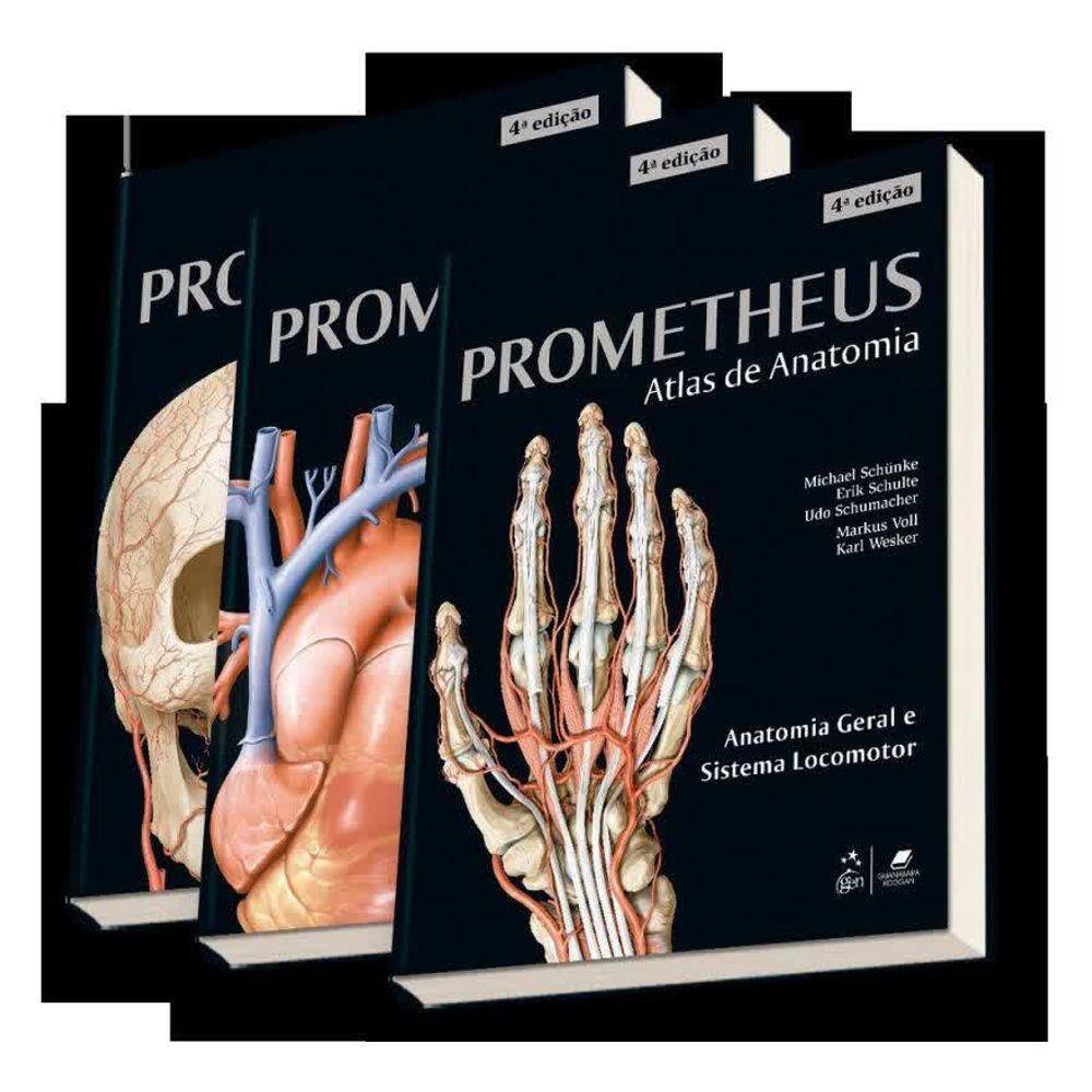 Prometheus anatomia | Black Friday Pontofrio