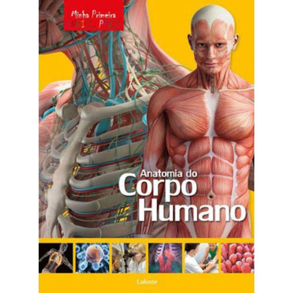 Boneco anatomia corpo humano | Pontofrio