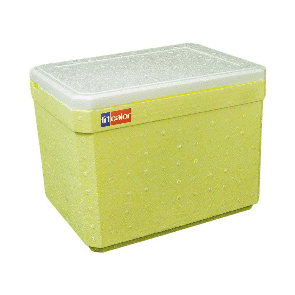 Caixa isopor 20 lts | Pontofrio
