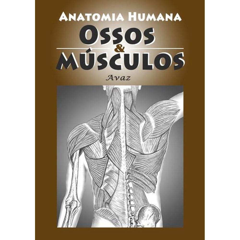 Musculos Anatomia Pontofrio