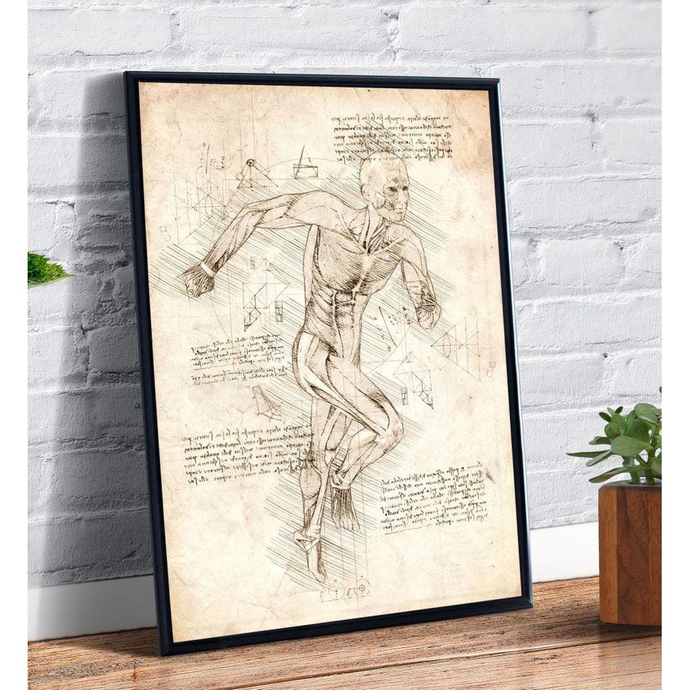 Anatomia Corpo Umano Pontofrio