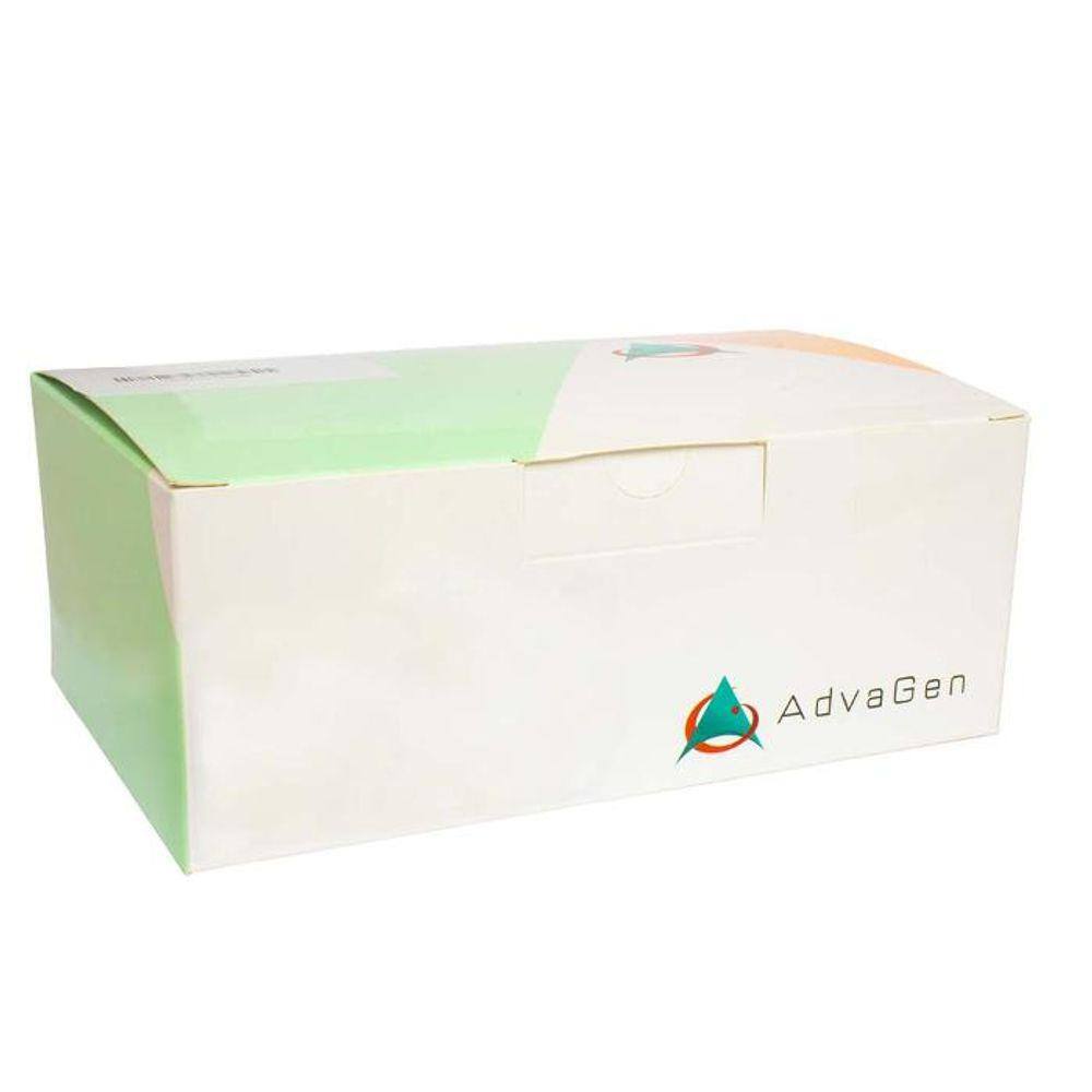 Teste vilania | Ponto