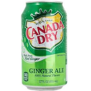 Refrigerante ginger ale antarctica | Ponto