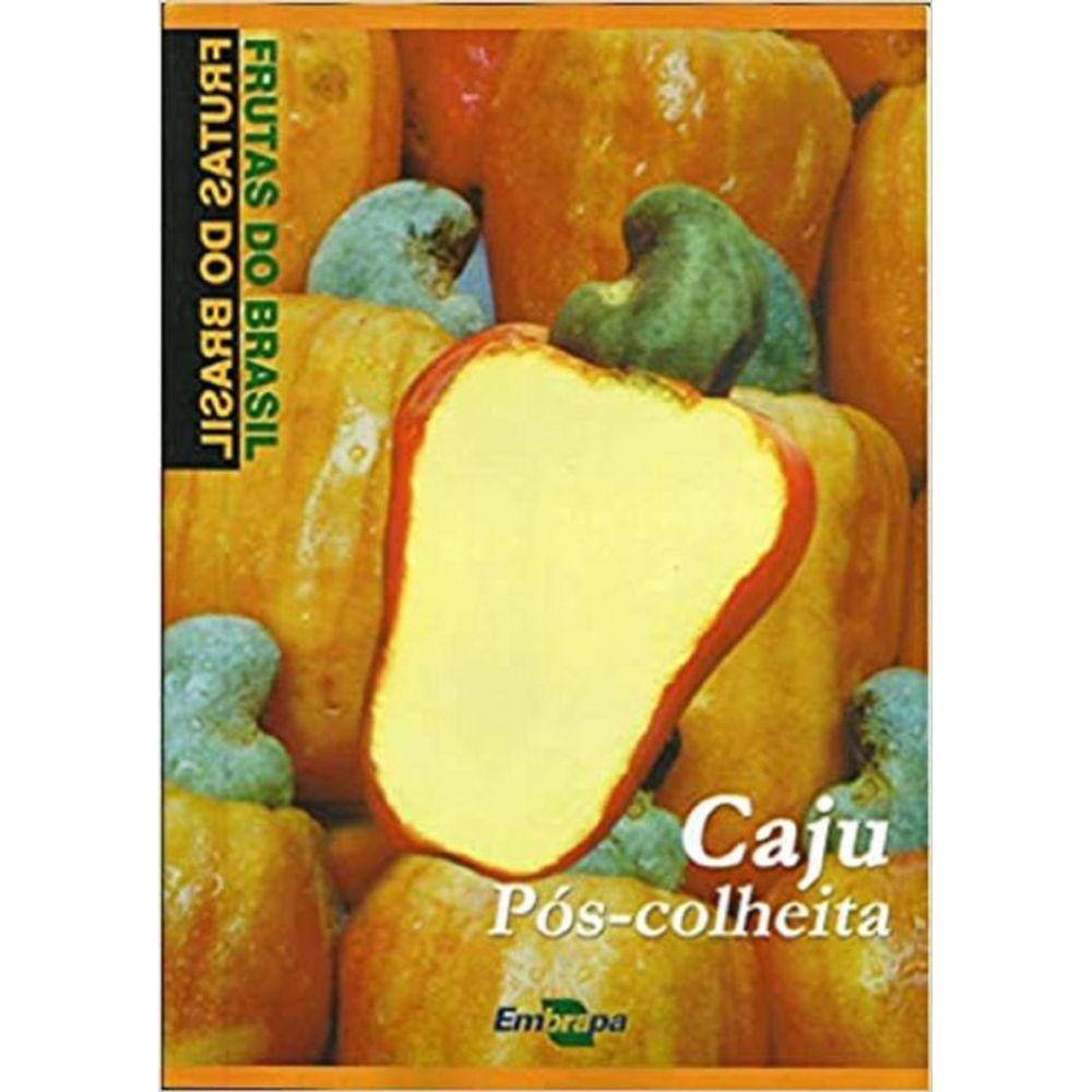 Caju cor cabelo | Pontofrio