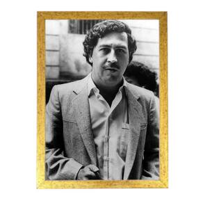 El patron pablo escobar | Pontofrio