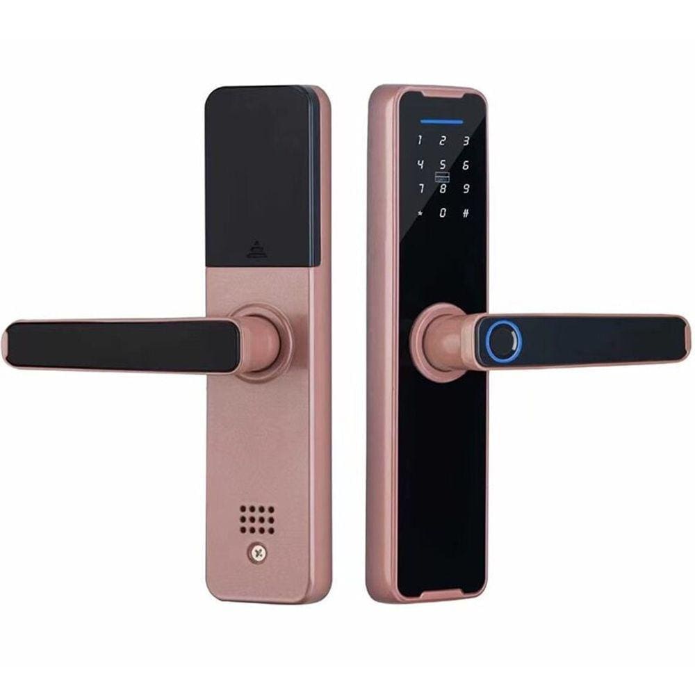 Biometria detran | Ponto